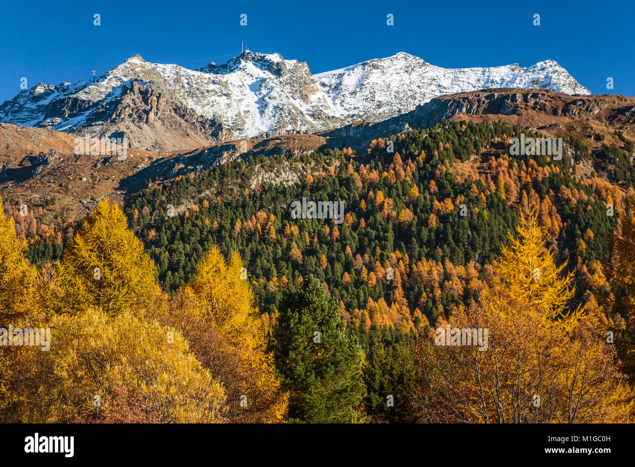 Autumn Trees In Swiss Alps High Resolution Stock Photography and Images ...