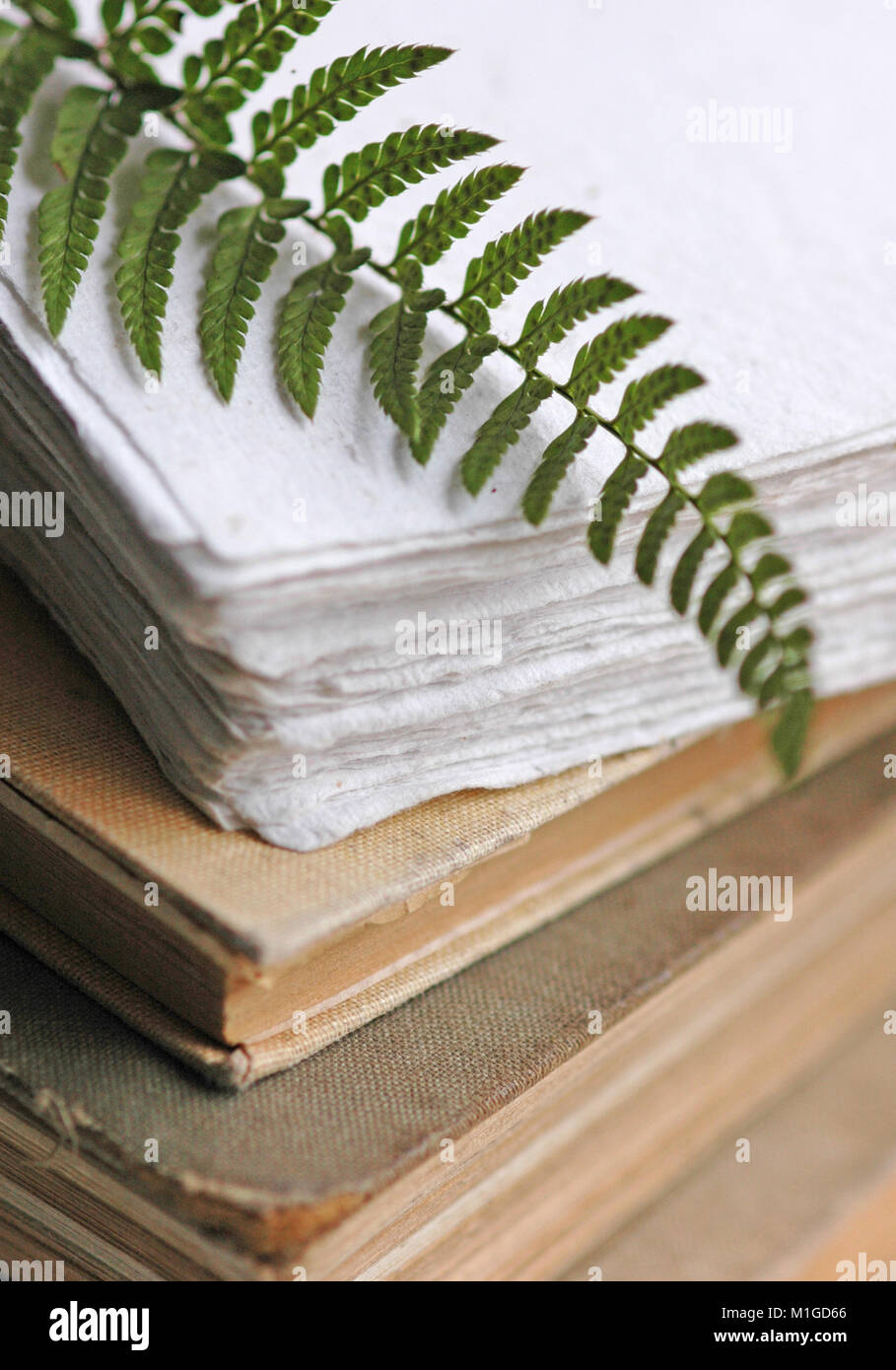 Stack of handmade books with fern leaf Stock Photo - Alamy