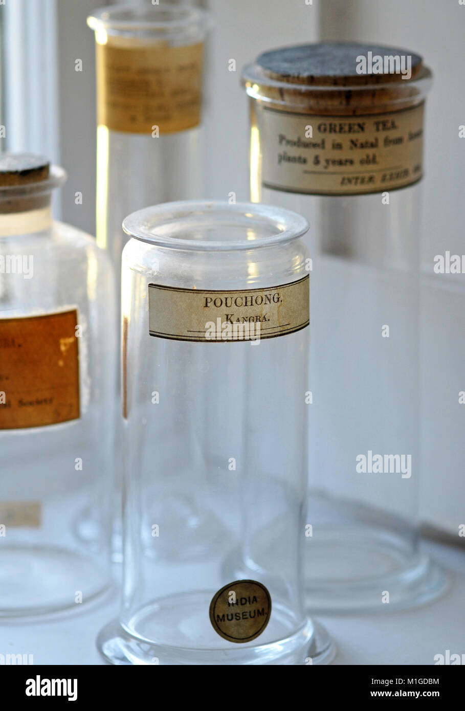 Vintage Glass Specimen bottles Stock Photo - Alamy
