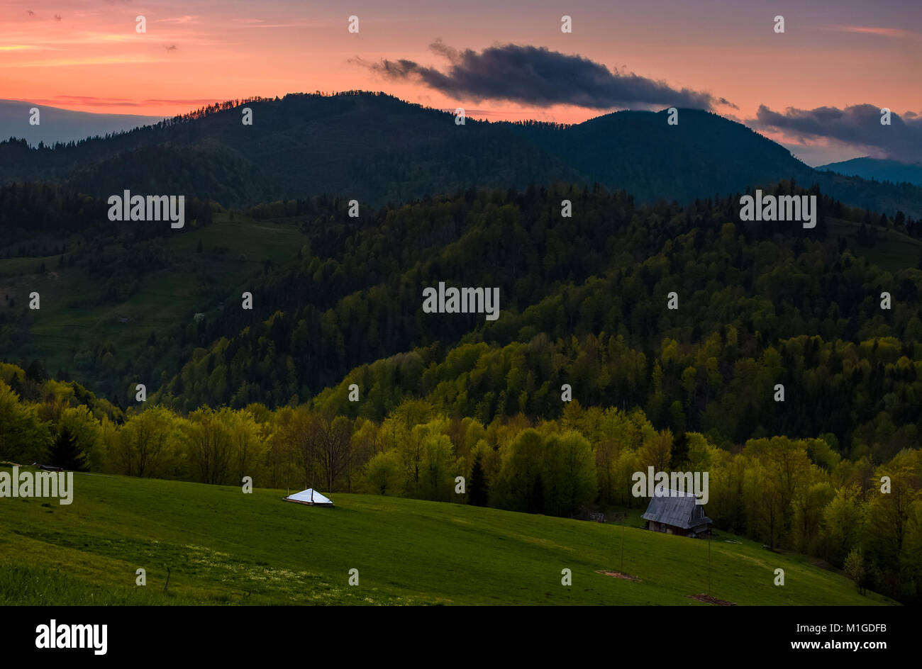 grassy rural slope at dusk. woodshed on the hillside near the forest ...