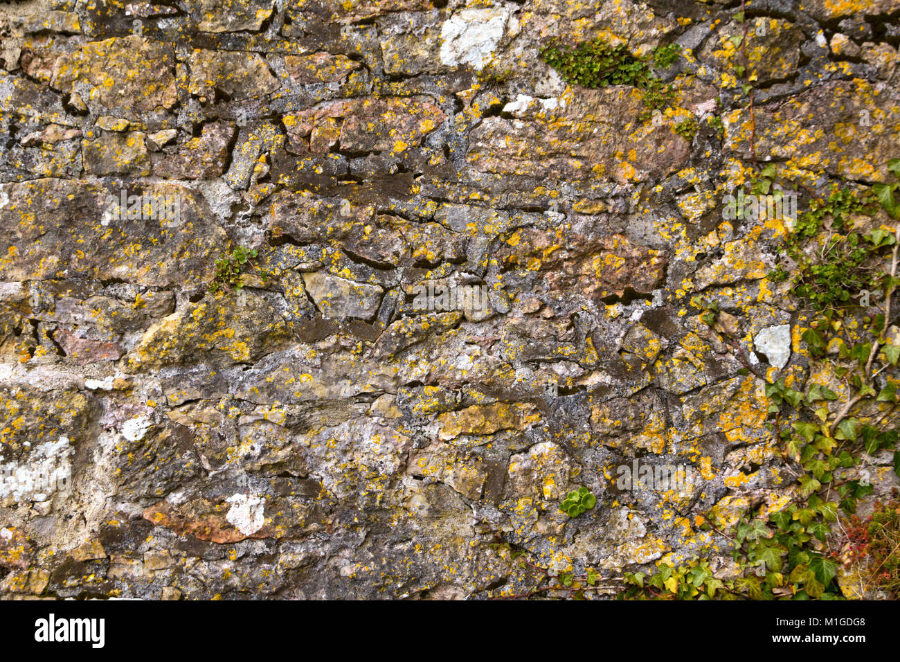 Old stone wall surface texture background Stock Photo - Alamy