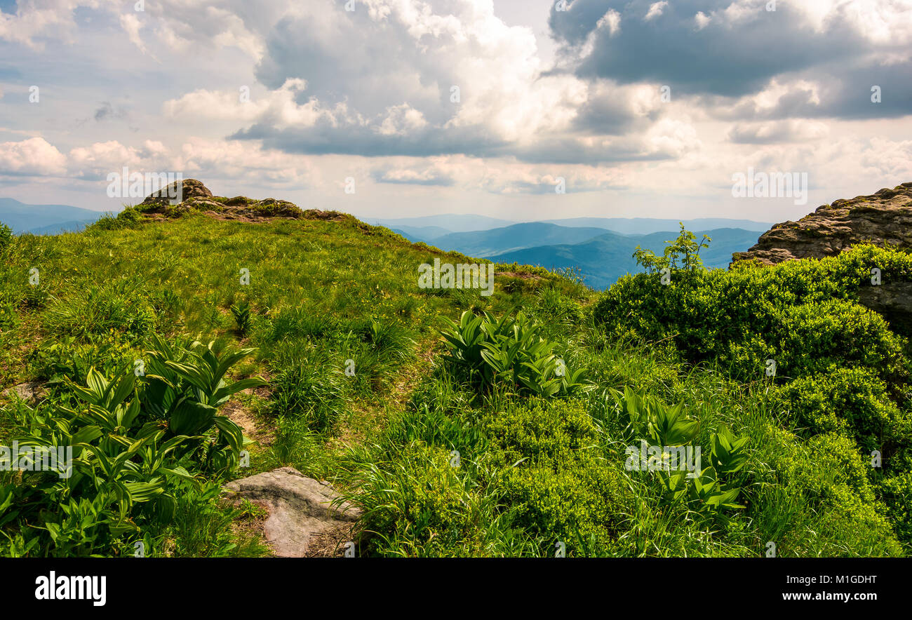 grassy edge of a hill. beautiful summer scenery in mountains Stock ...