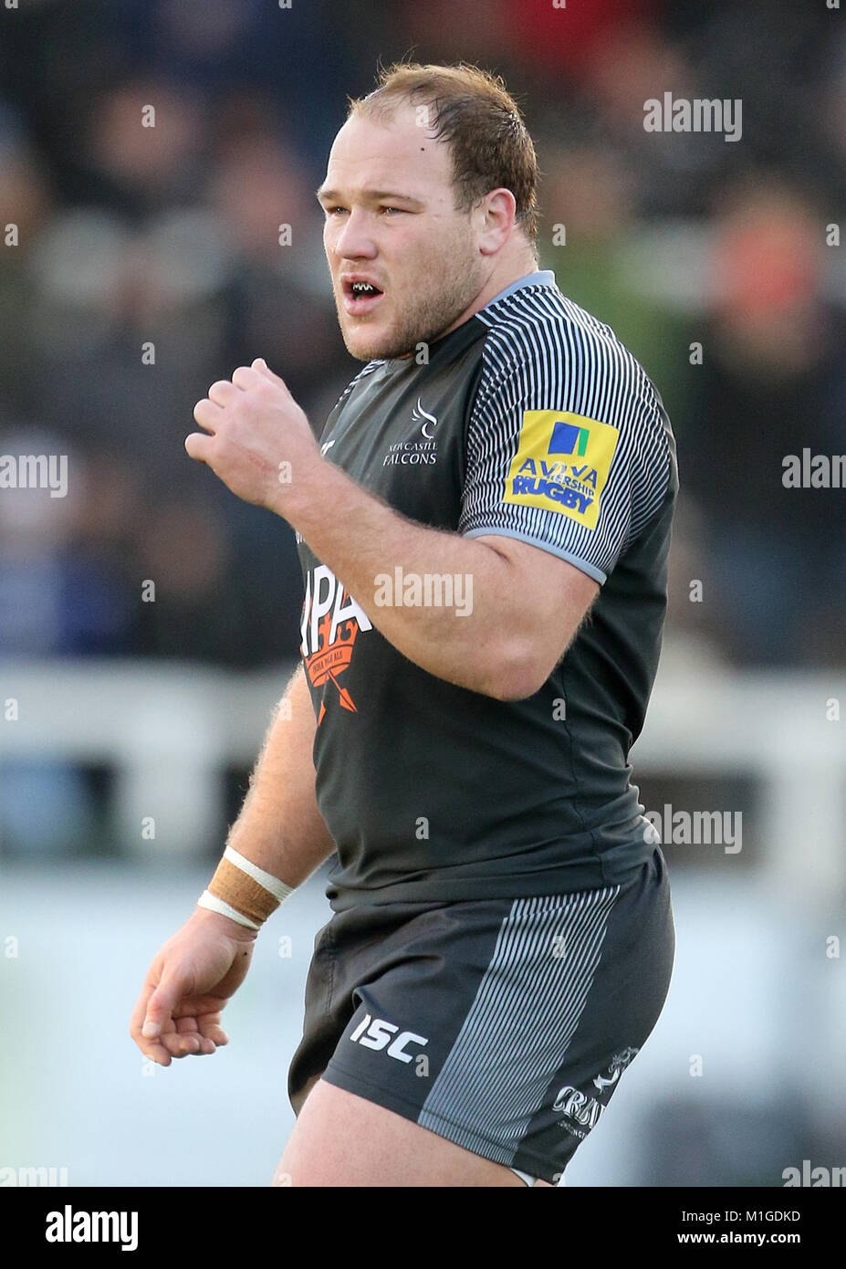 Kyle Cooper, Newcastle Falcons Stock Photo - Alamy