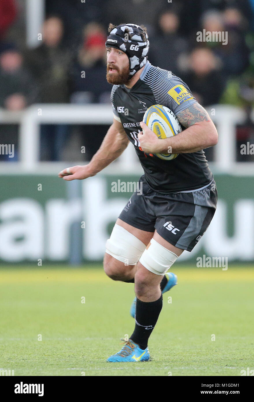 Gary Graham, Newcastle Falcons Stock Photo - Alamy