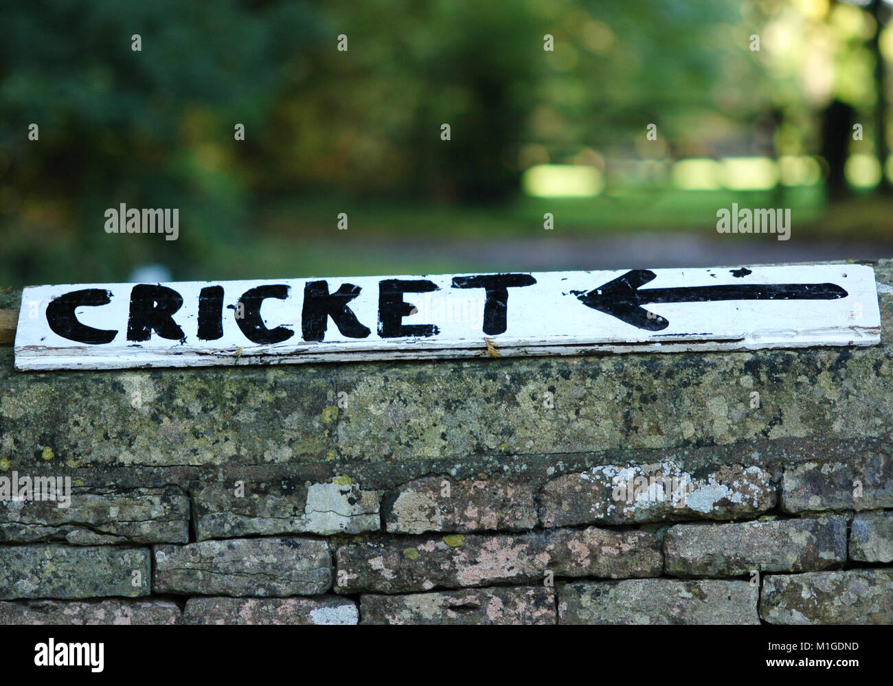 Hand Painted Cricket sign with arrow Stock Photo - Alamy