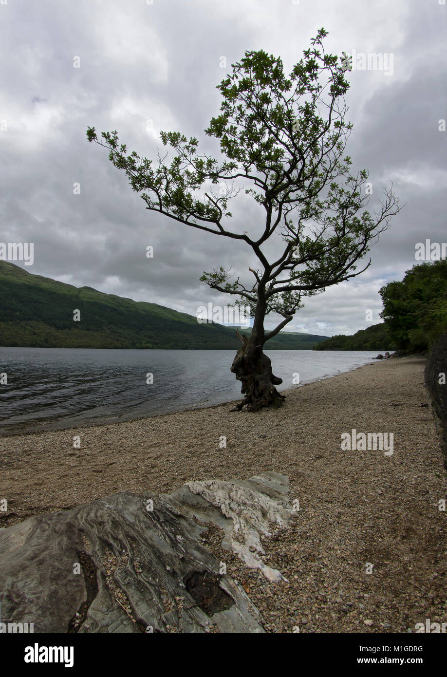 Loch lomond and the trossachs beach hi-res stock photography and images ...