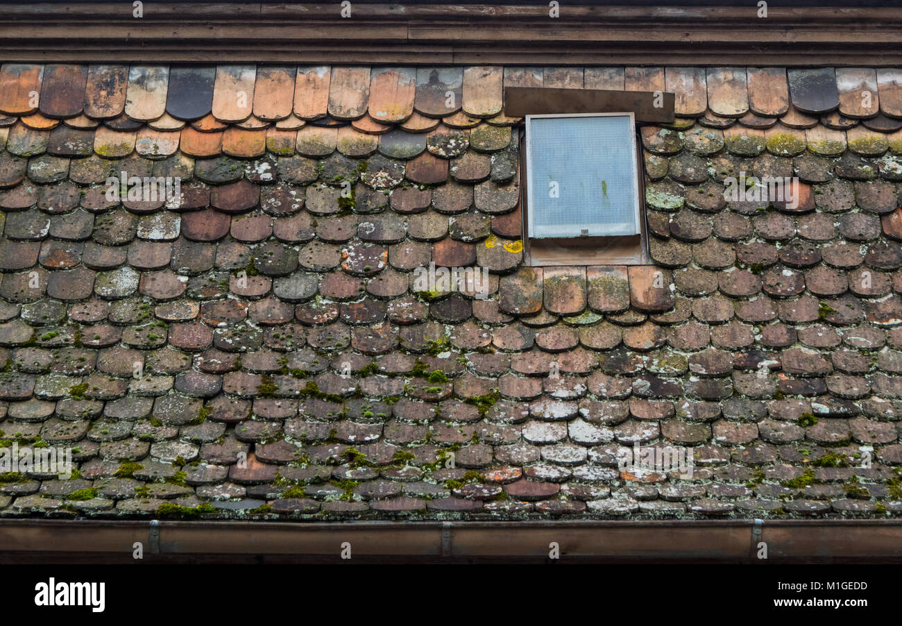 Old mossy roof tiles with a small window Stock Photo - Alamy
