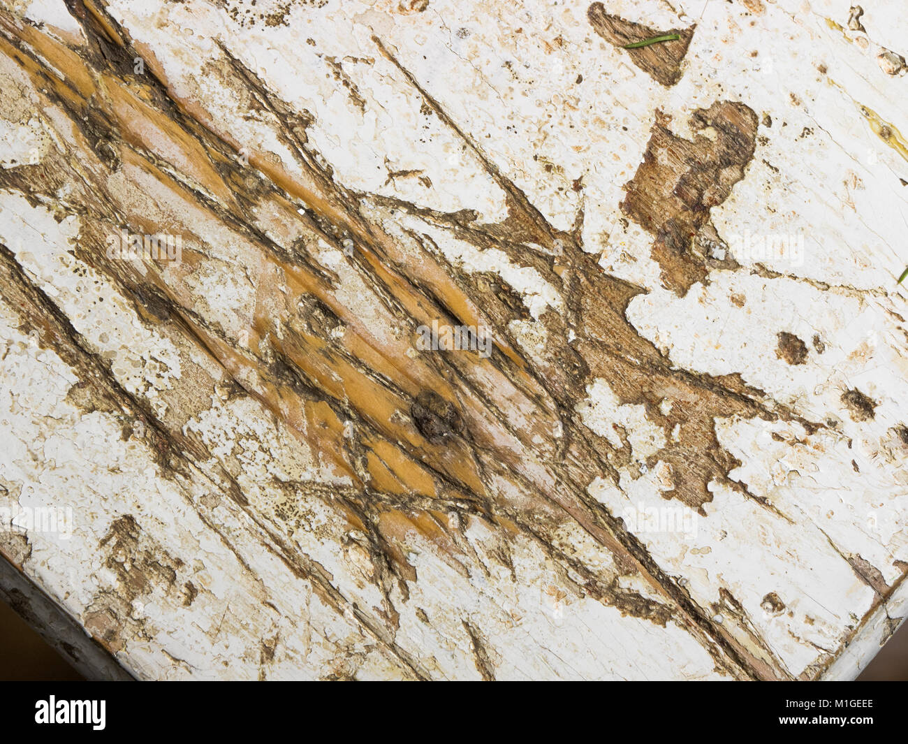 Close-up of a white painted wooden table with scratches Stock Photo - Alamy