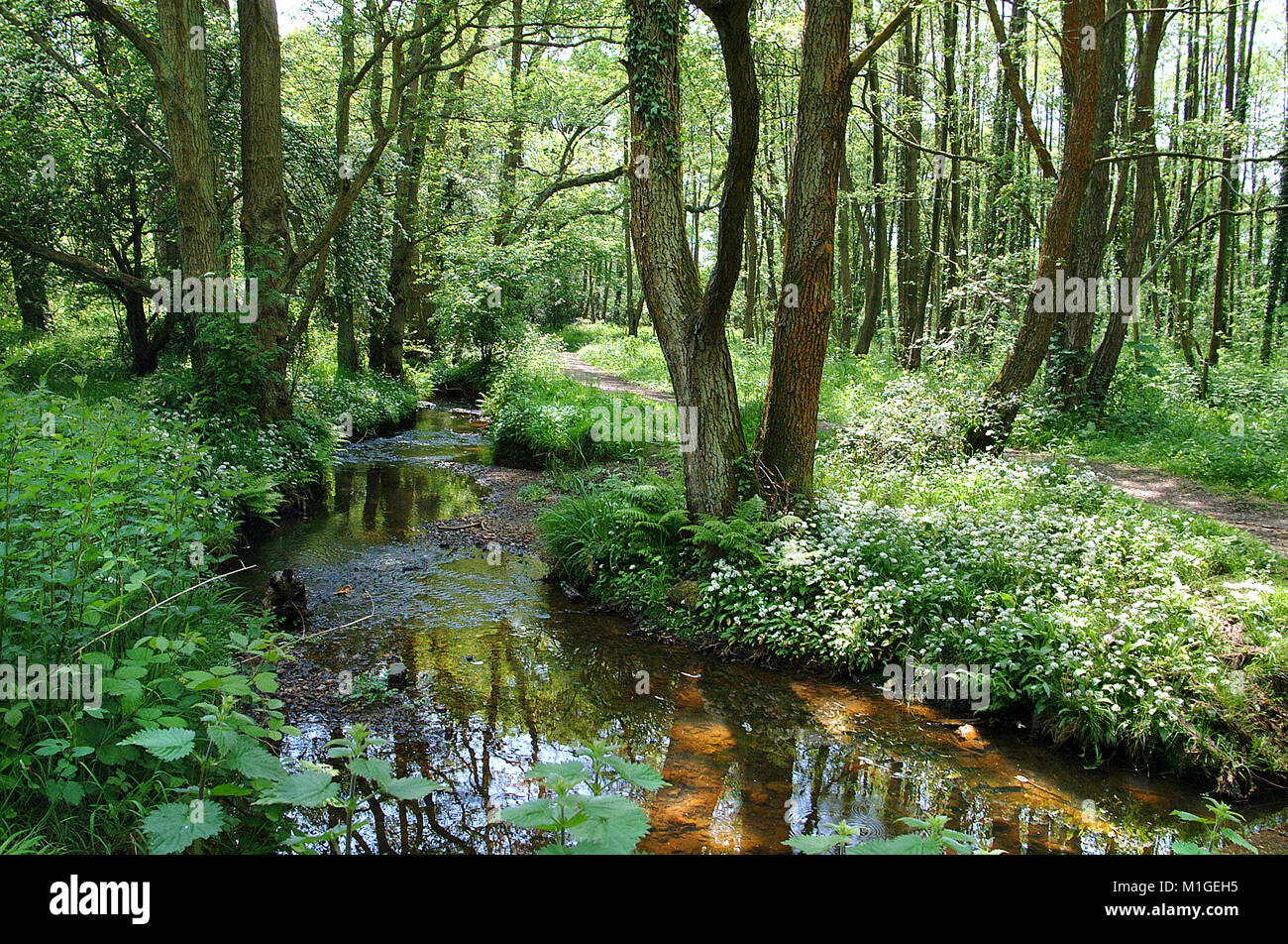 Hampshire and isle of white wildlife trust reserve hi-res stock ...