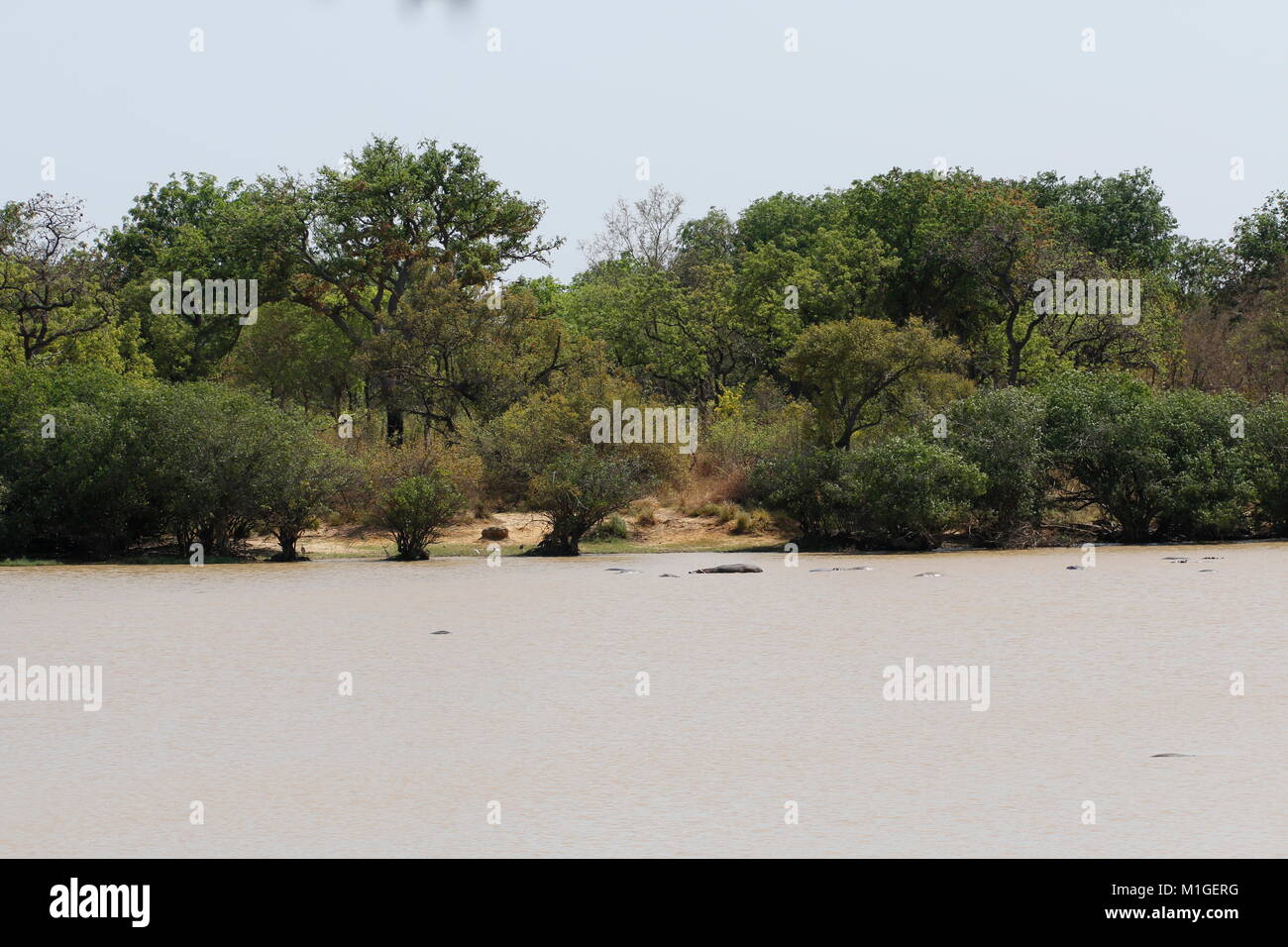 Benin national park hi-res stock photography and images - Alamy
