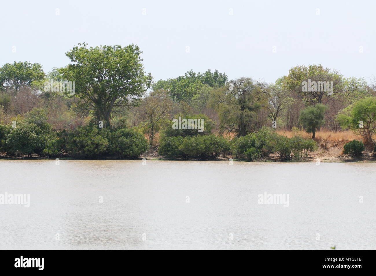 Benin national park hi-res stock photography and images - Alamy