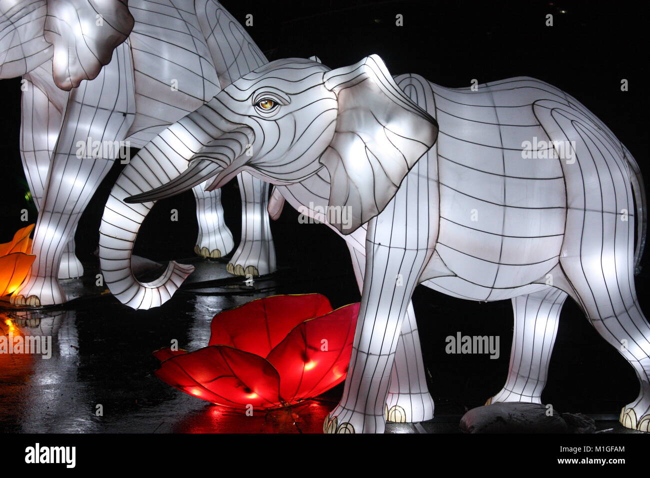 Elephants at the Chinese Lantern Festival in Vancouver Stock Photo - Alamy