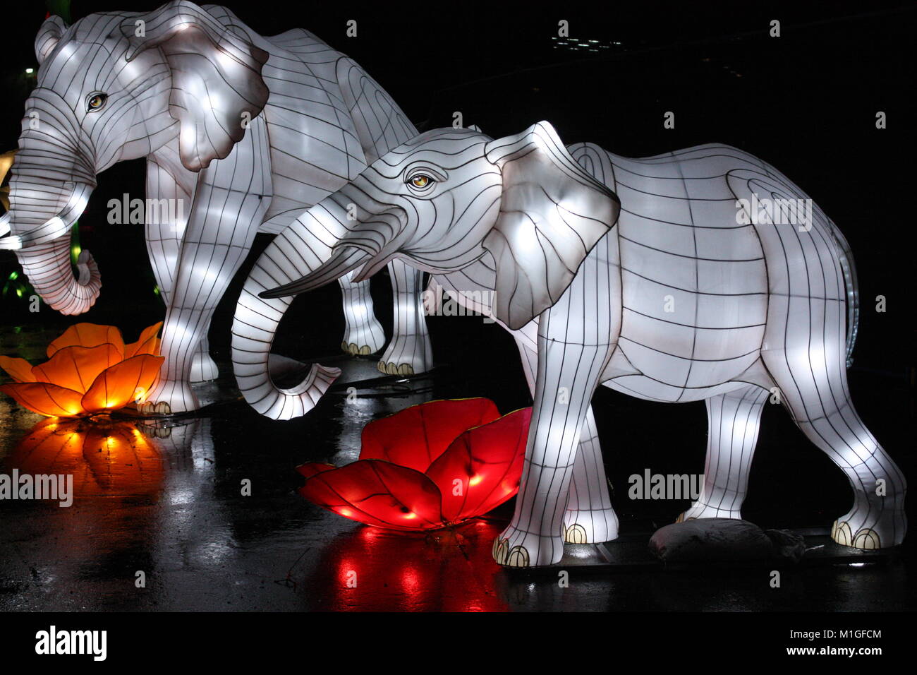 Elephants at the Chinese Lantern Festival in Vancouver Stock Photo - Alamy