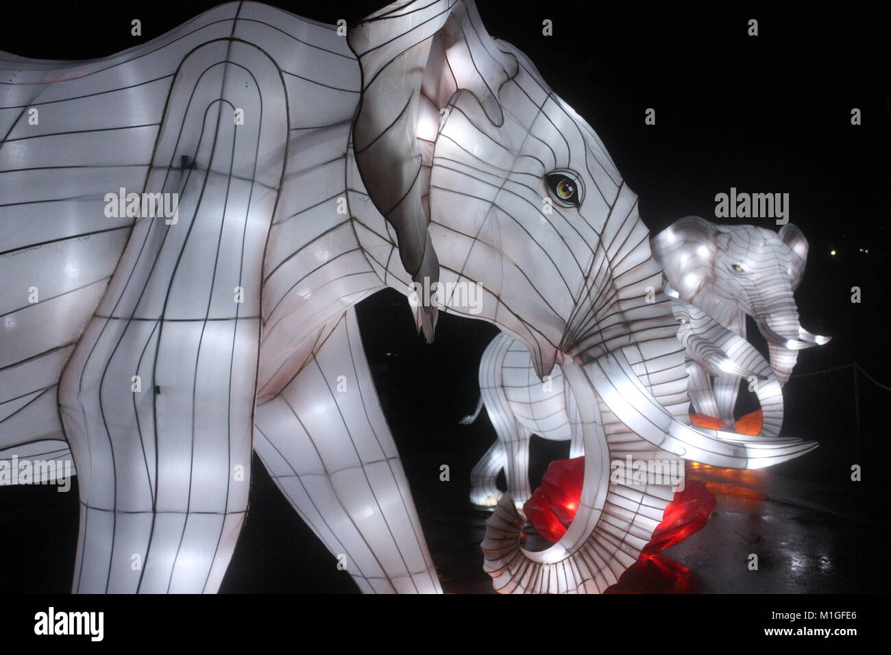 Elephants at the Chinese Lantern Festival in Vancouver Stock Photo - Alamy