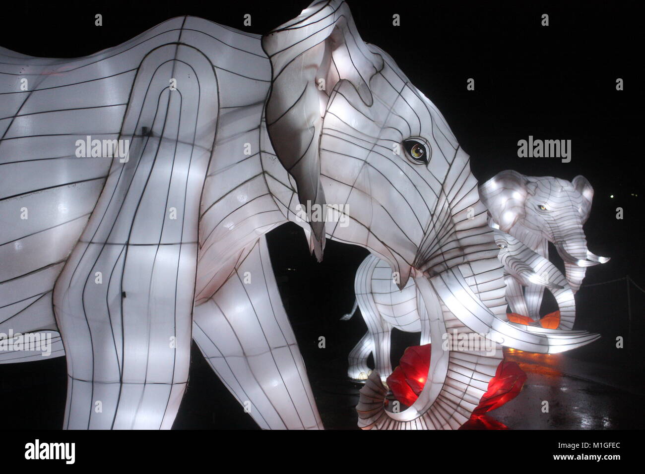 Elephants at the Chinese Lantern Festival in Vancouver Stock Photo - Alamy