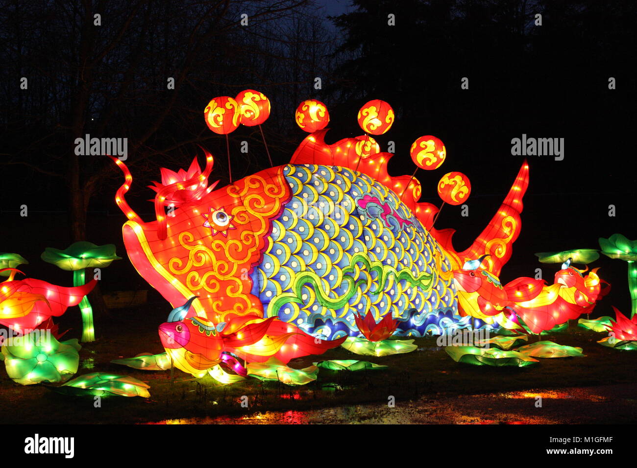 Fish lantern at the Chinese Lantern festival Stock Photo - Alamy