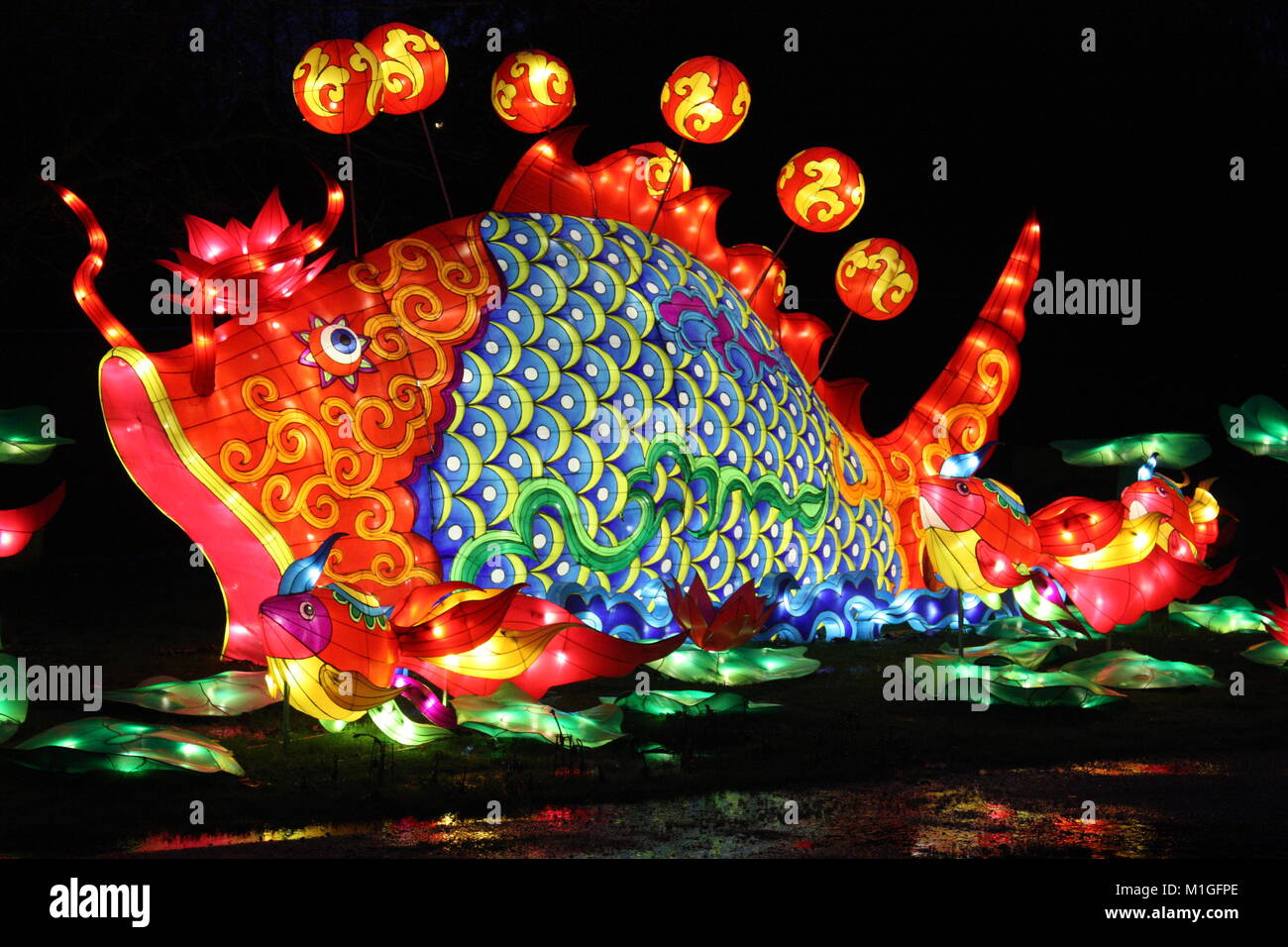 Fish lantern at the Chinese Lantern festival Stock Photo - Alamy