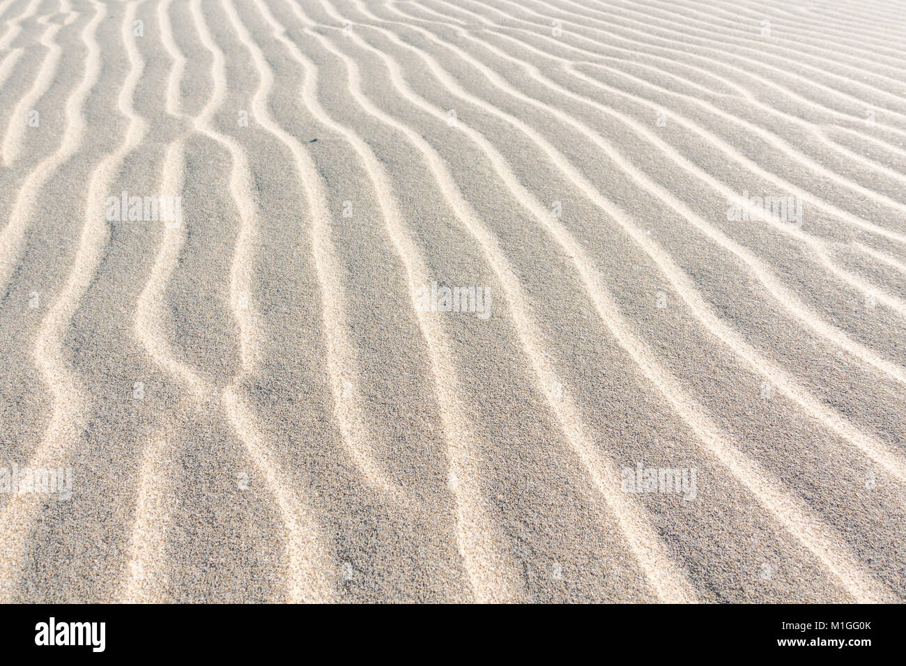 waves of sand in the desert on the sand dunes Stock Photo - Alamy