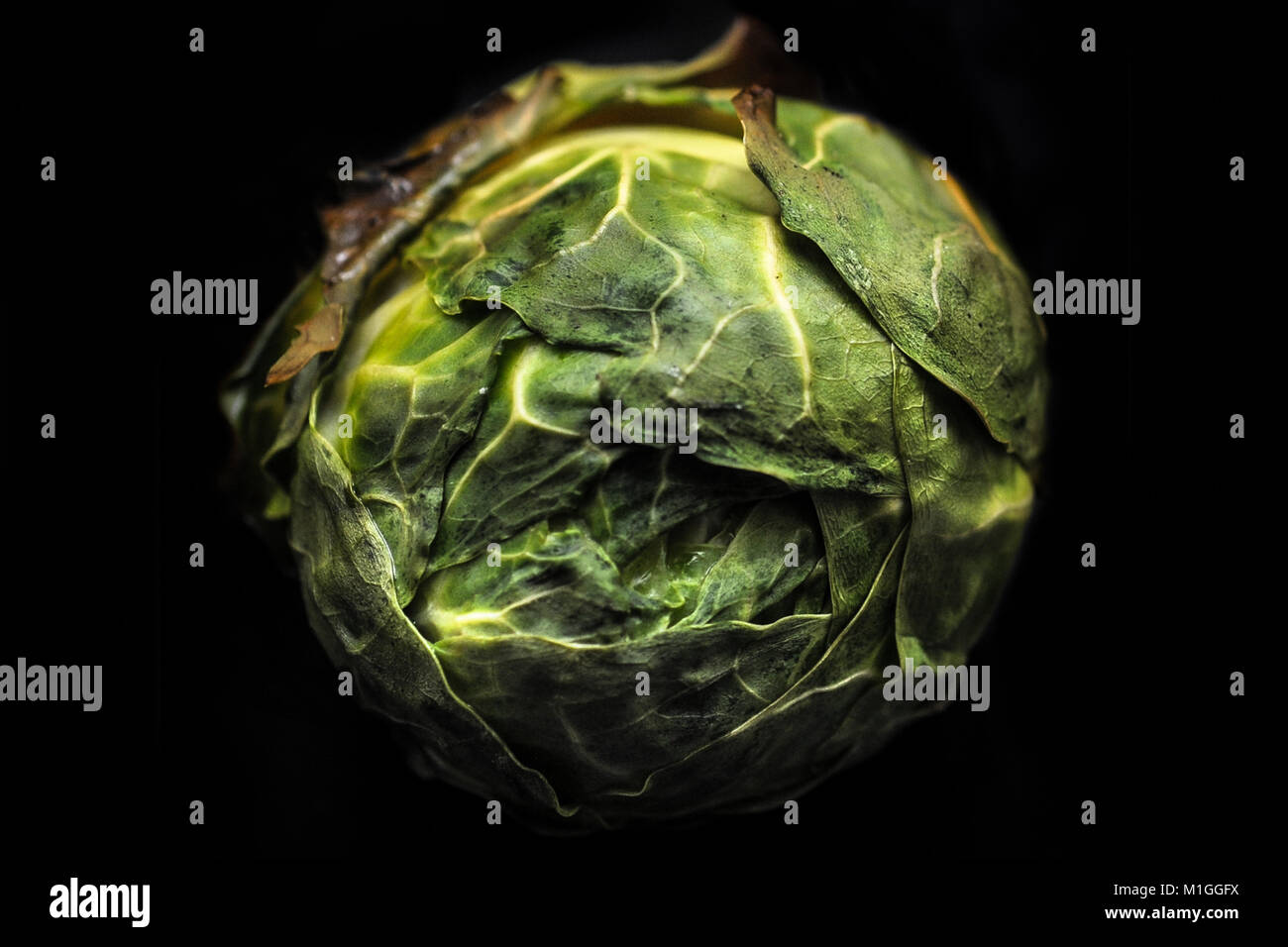 Roasted single Brussels sprout on a black background Stock Photo - Alamy