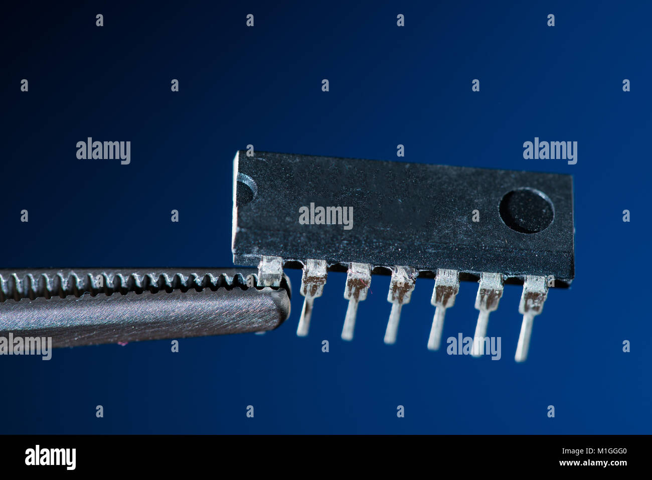 Electronic chip isolated on dark blue Stock Photo - Alamy