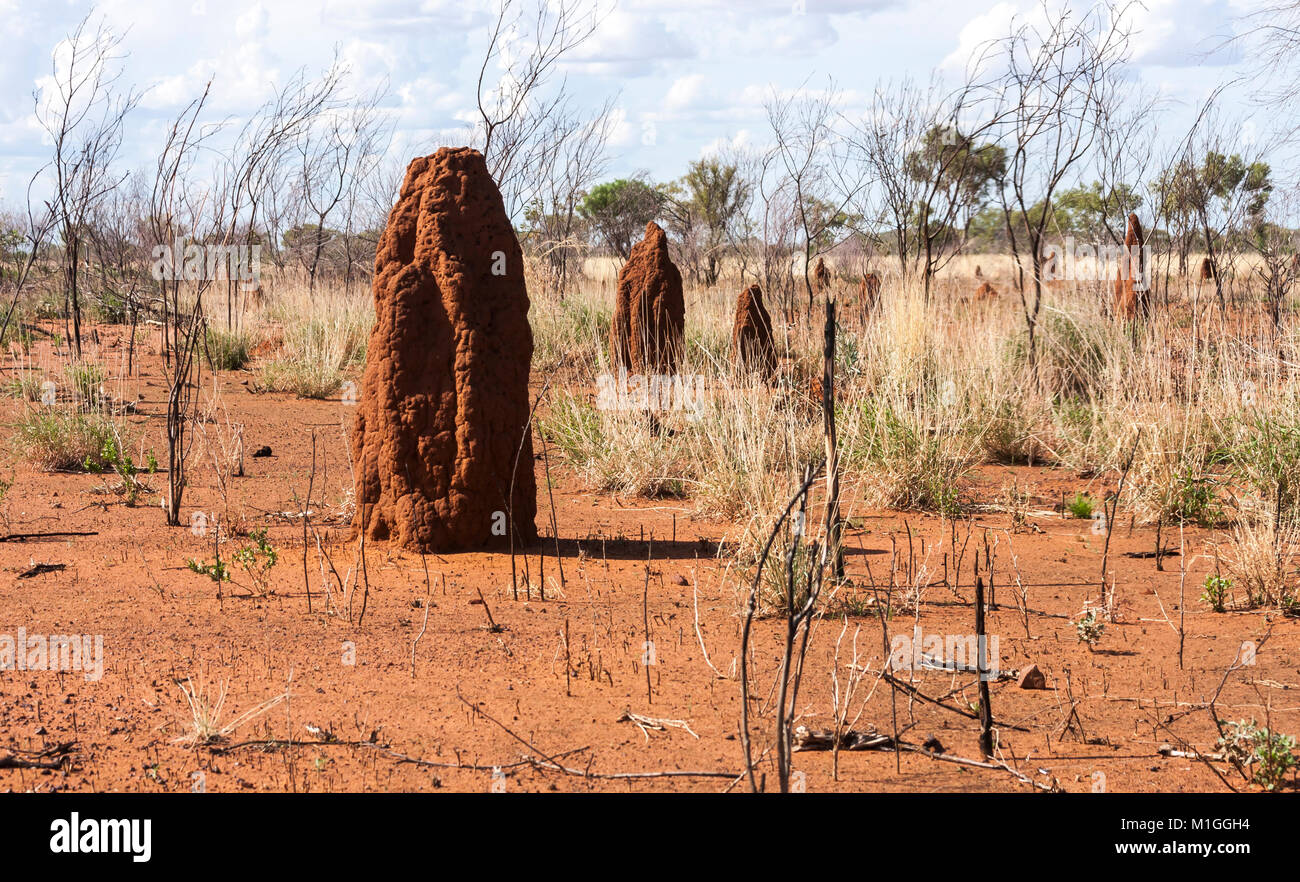 Ant hills hi-res stock photography and images - Alamy