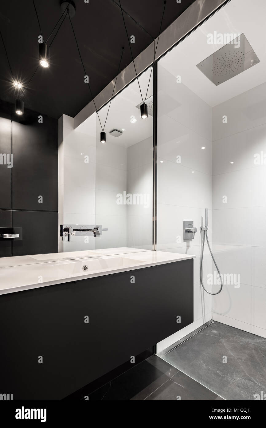 Black and white bathroom with shower and countertop basin Stock Photo ...
