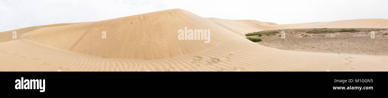 Panorama of the sandy desert Stock Photo - Alamy
