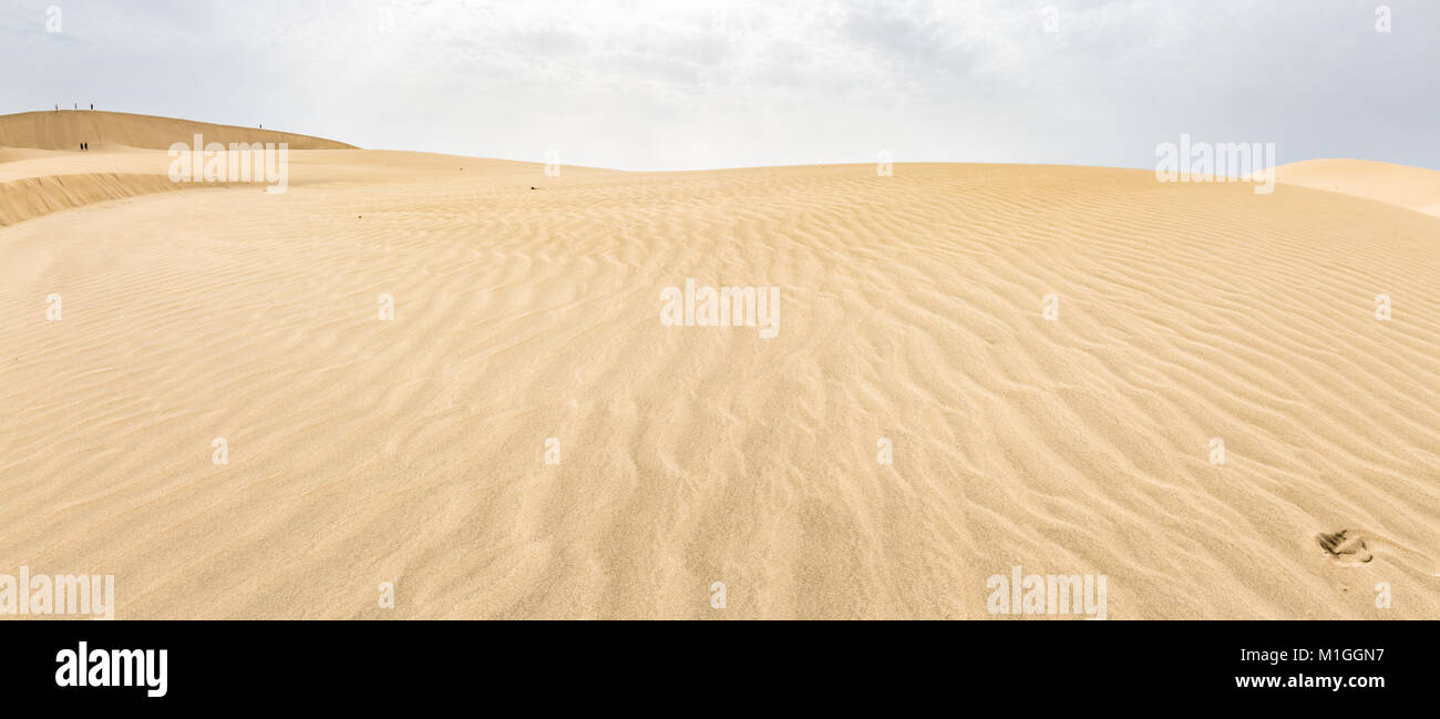 Panorama of the sandy desert Stock Photo - Alamy