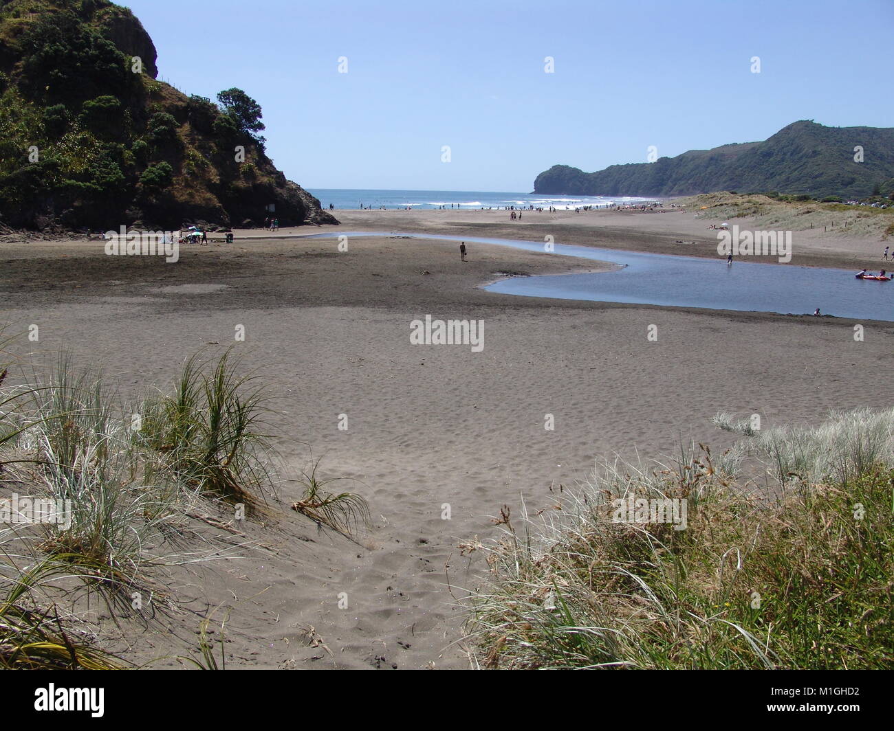 Piha. World famous beach near Auckland, New Zealand Stock Photo - Alamy