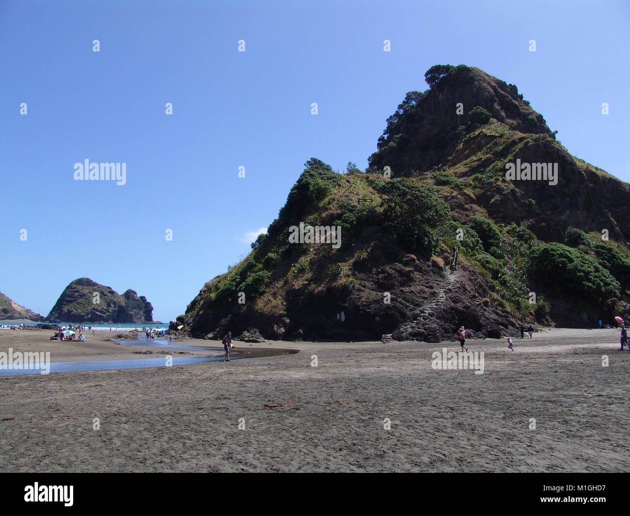 Piha. World famous beach near Auckland, New Zealand Stock Photo - Alamy