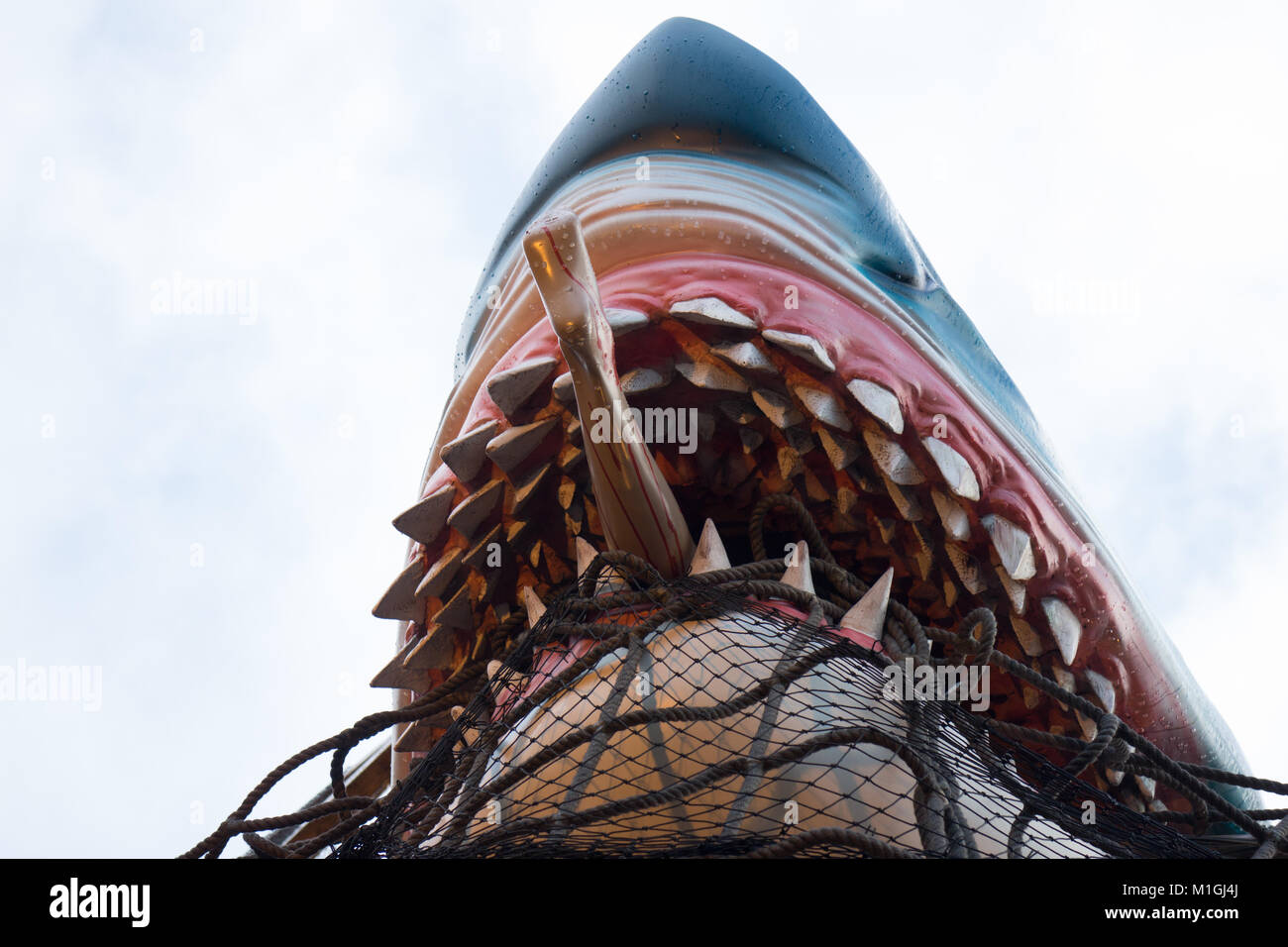 Great white shark jaws open mouth hi-res stock photography and images ...