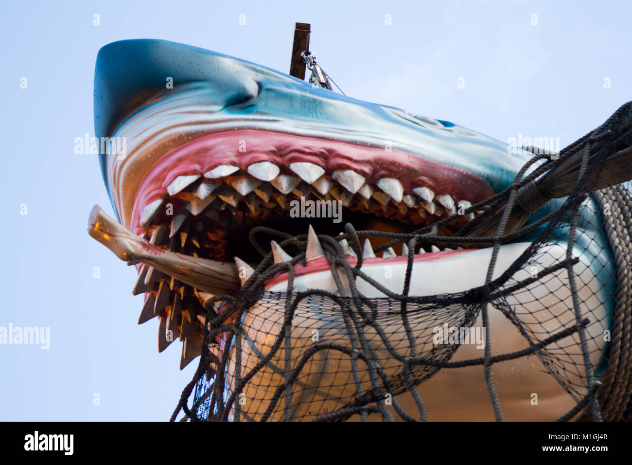 Great white shark jaws open mouth hi-res stock photography and images ...