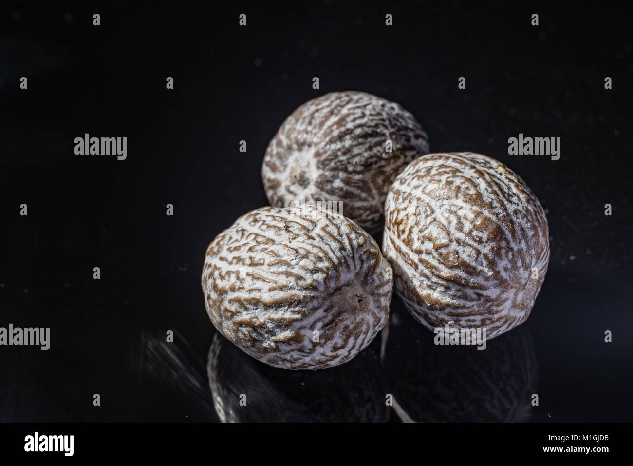 Macro collection, dried muscat nutmeg close up on black background copy ...
