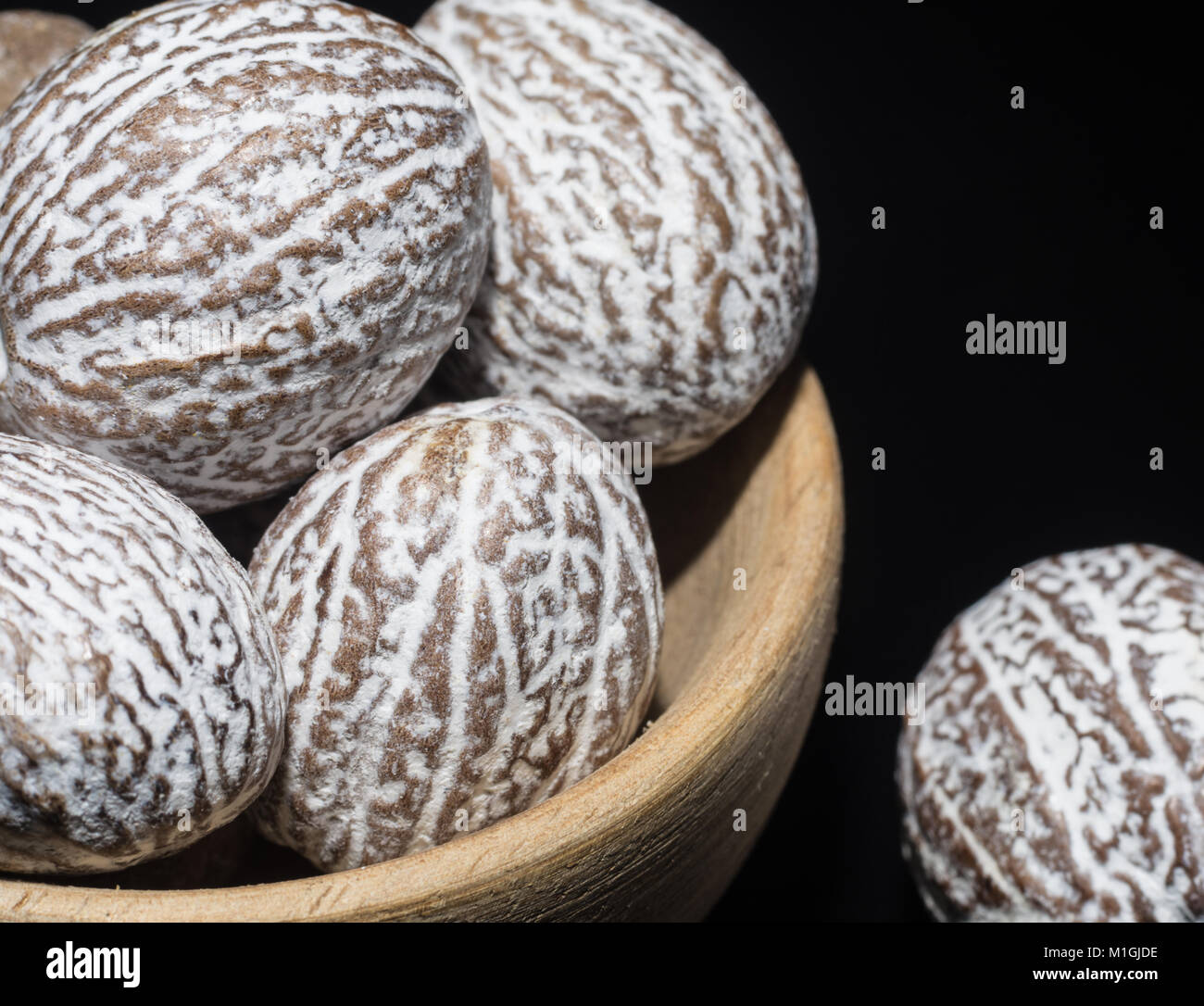 Macro collection, dried muscat nutmeg close up on black background ...