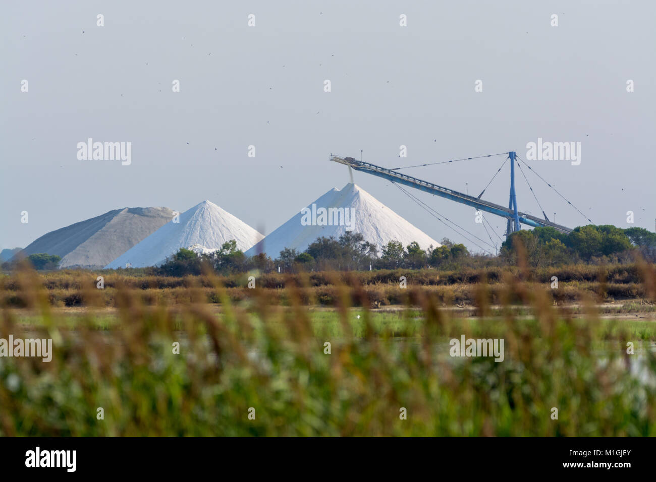 Salt works, industrial plant with white piles of Camagrue sea salt ...