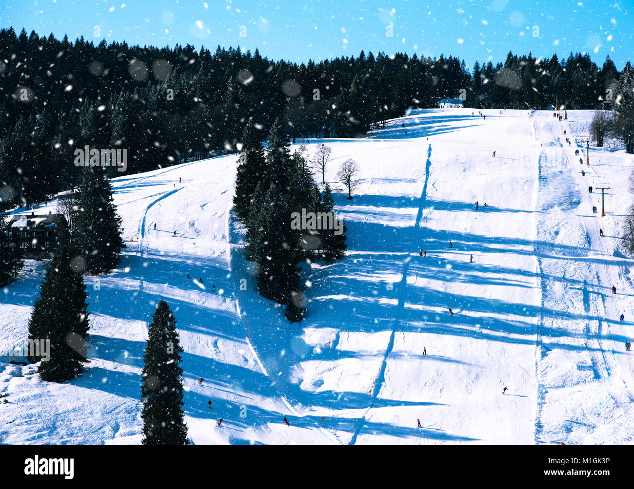 Piste ski tracks on snowy and sunny mountain side Stock Photo - Alamy