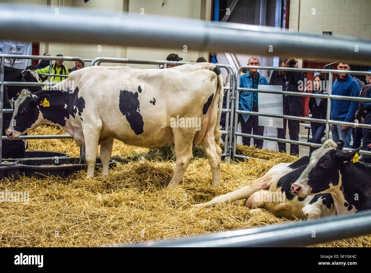 PA. FARM SHOW EXHIBITION Stock Photo - Alamy
