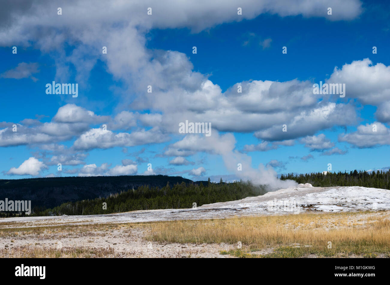 Steam plume at Old Faithful Geyser under a blue sky with white clouds ...