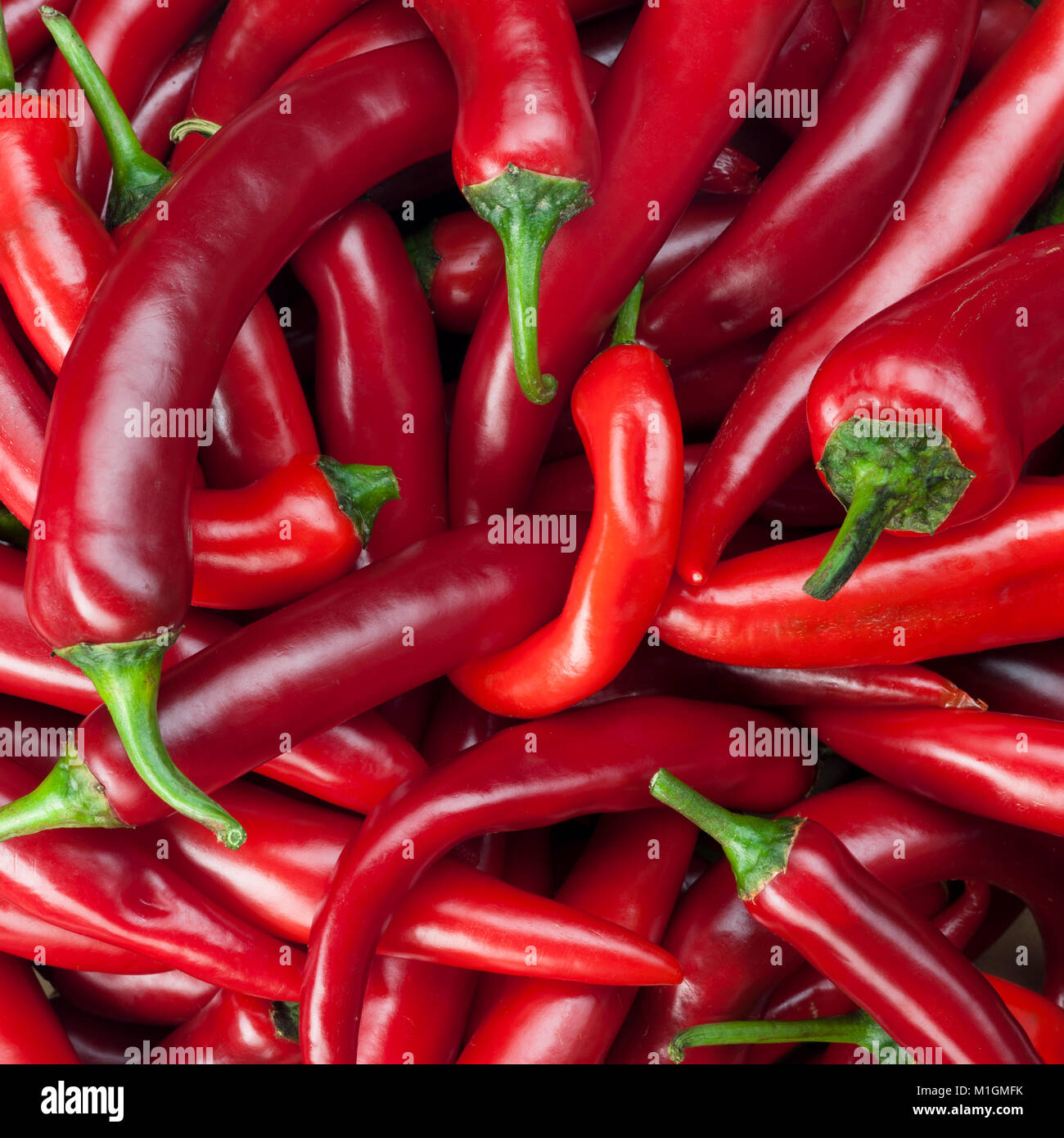 Red Hot Chili Pepper Paprica Stock Photo - Alamy