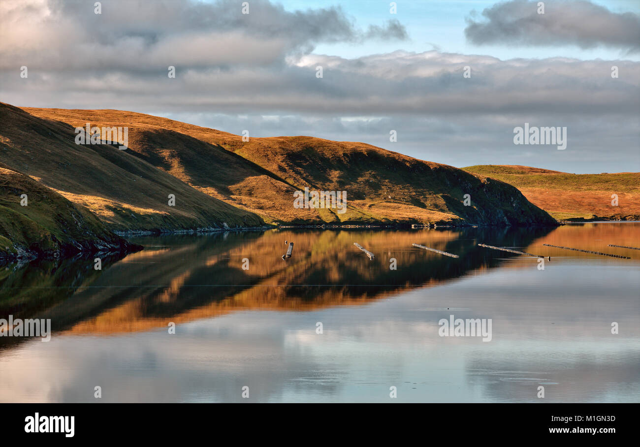 Beautiful early light on a sea loch in Mainland Shetland, Scotland, UK ...