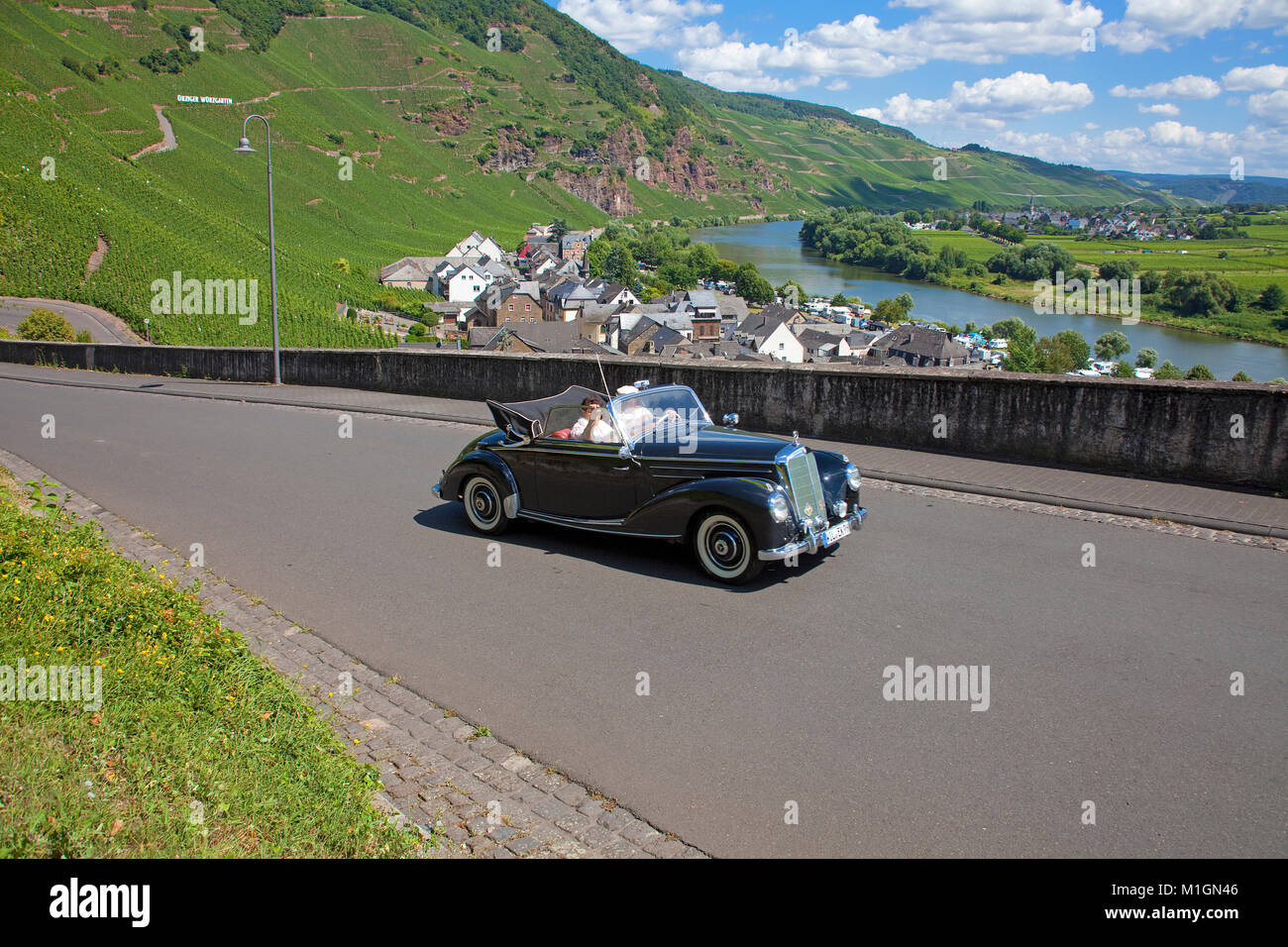 Mercedes oldtimer at the Moselle village Uerzig, Moselle river ...