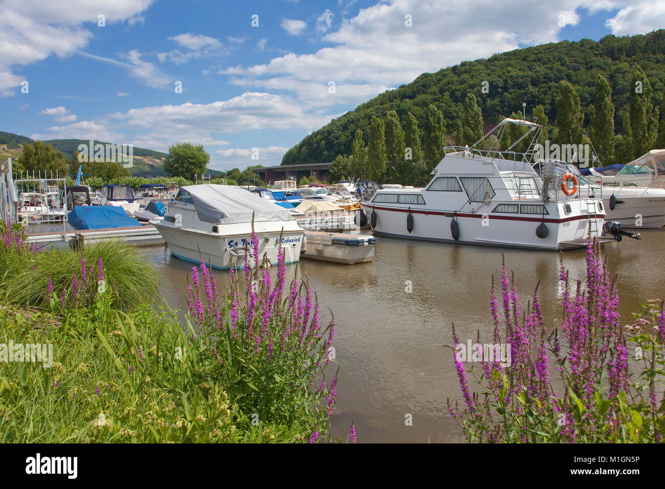 Schweich germany hi-res stock photography and images - Alamy