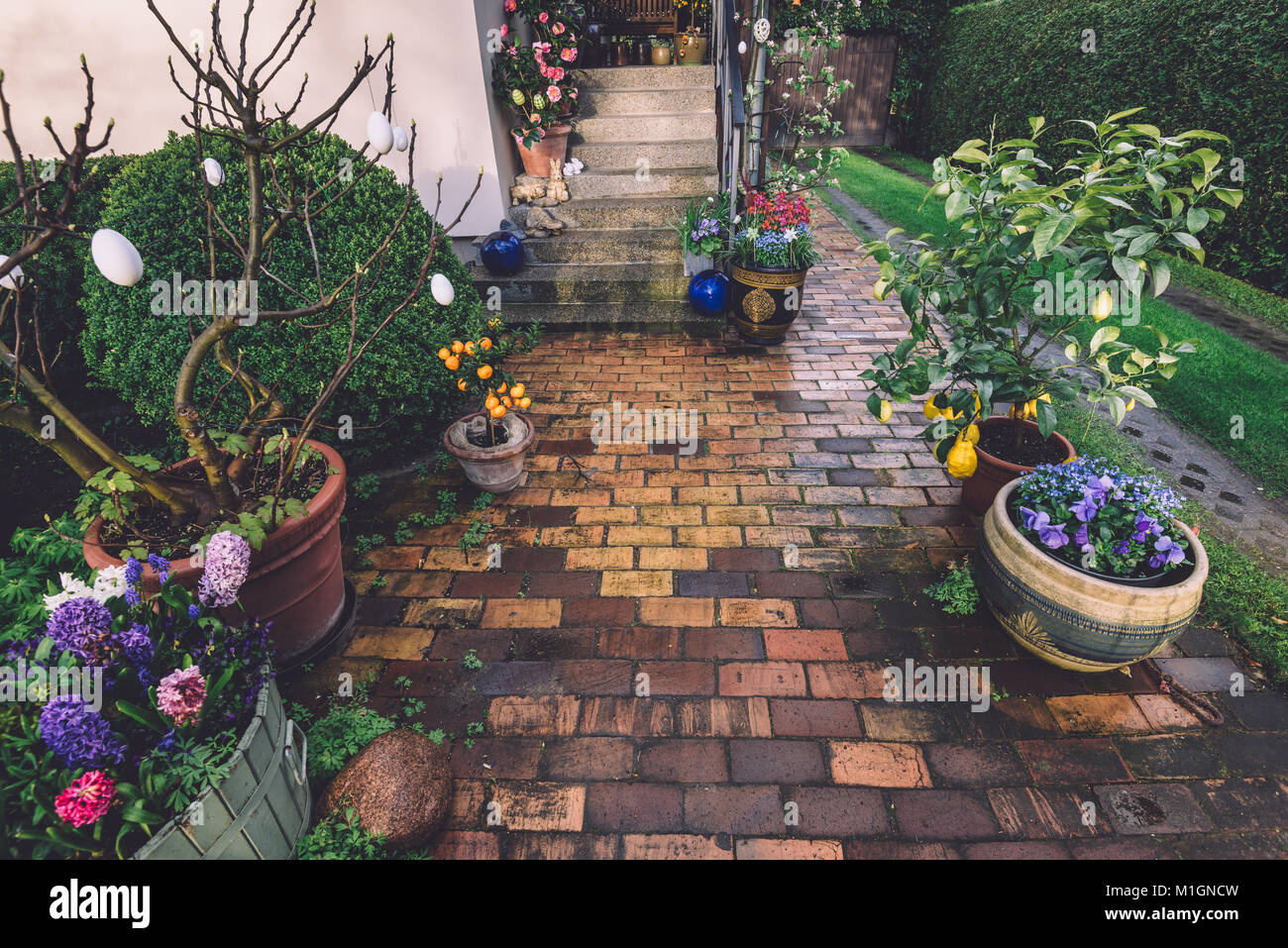 Easter egg tree germany hi-res stock photography and images - Alamy