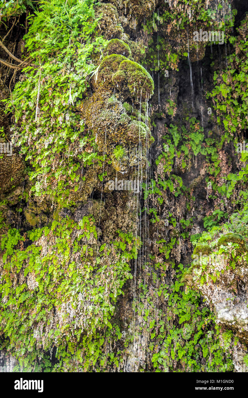 Streamlets hi-res stock photography and images - Alamy