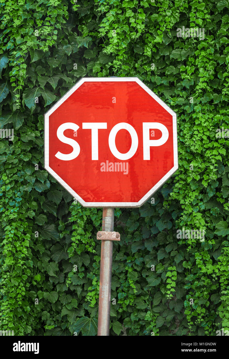 Stop Sign On Green Traffic Stock Photos & Stop Sign On Green Traffic ...