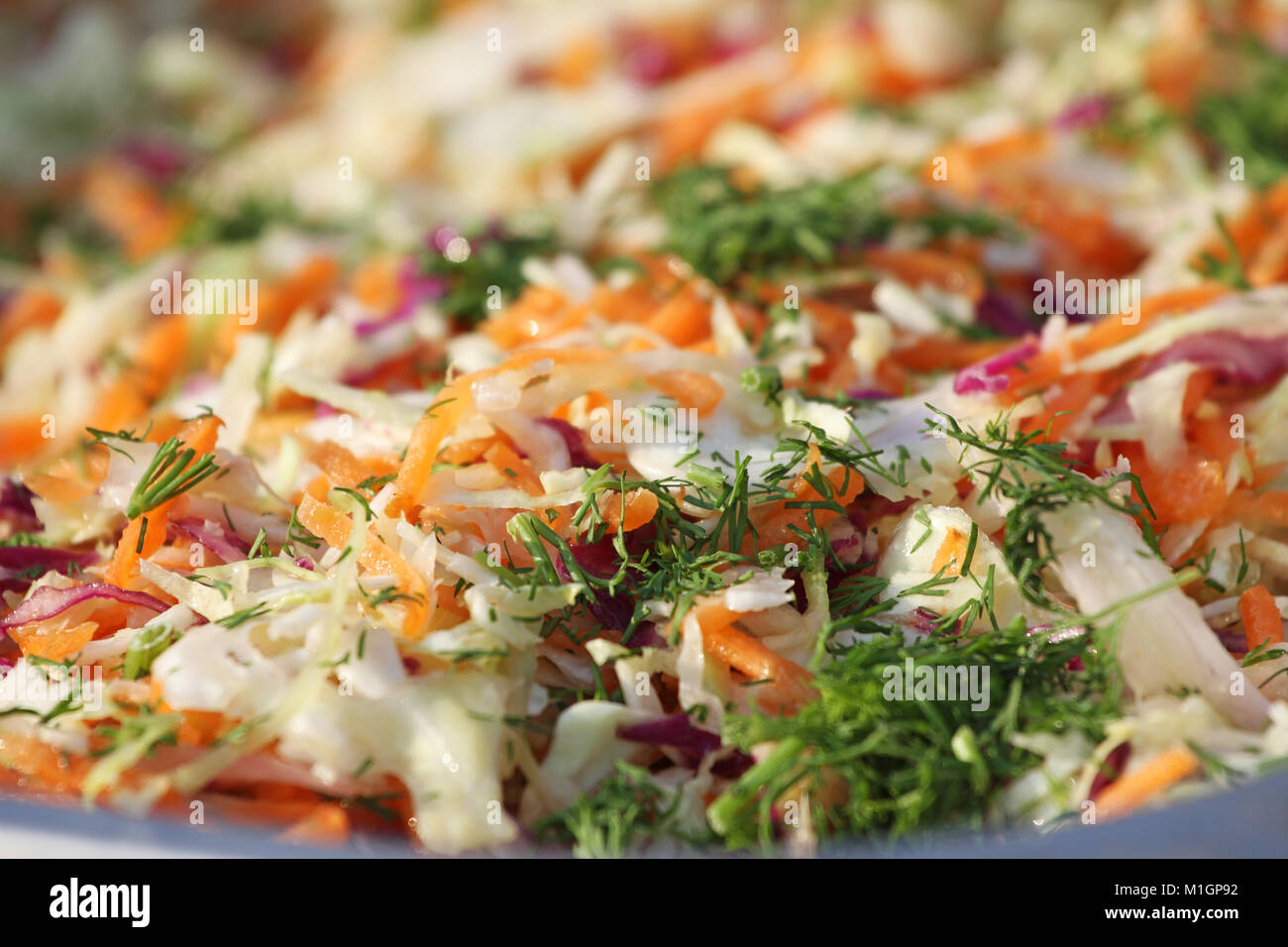 Cabbage. Fresh summer salad with cabbage, carrots and parsley. Kale ...