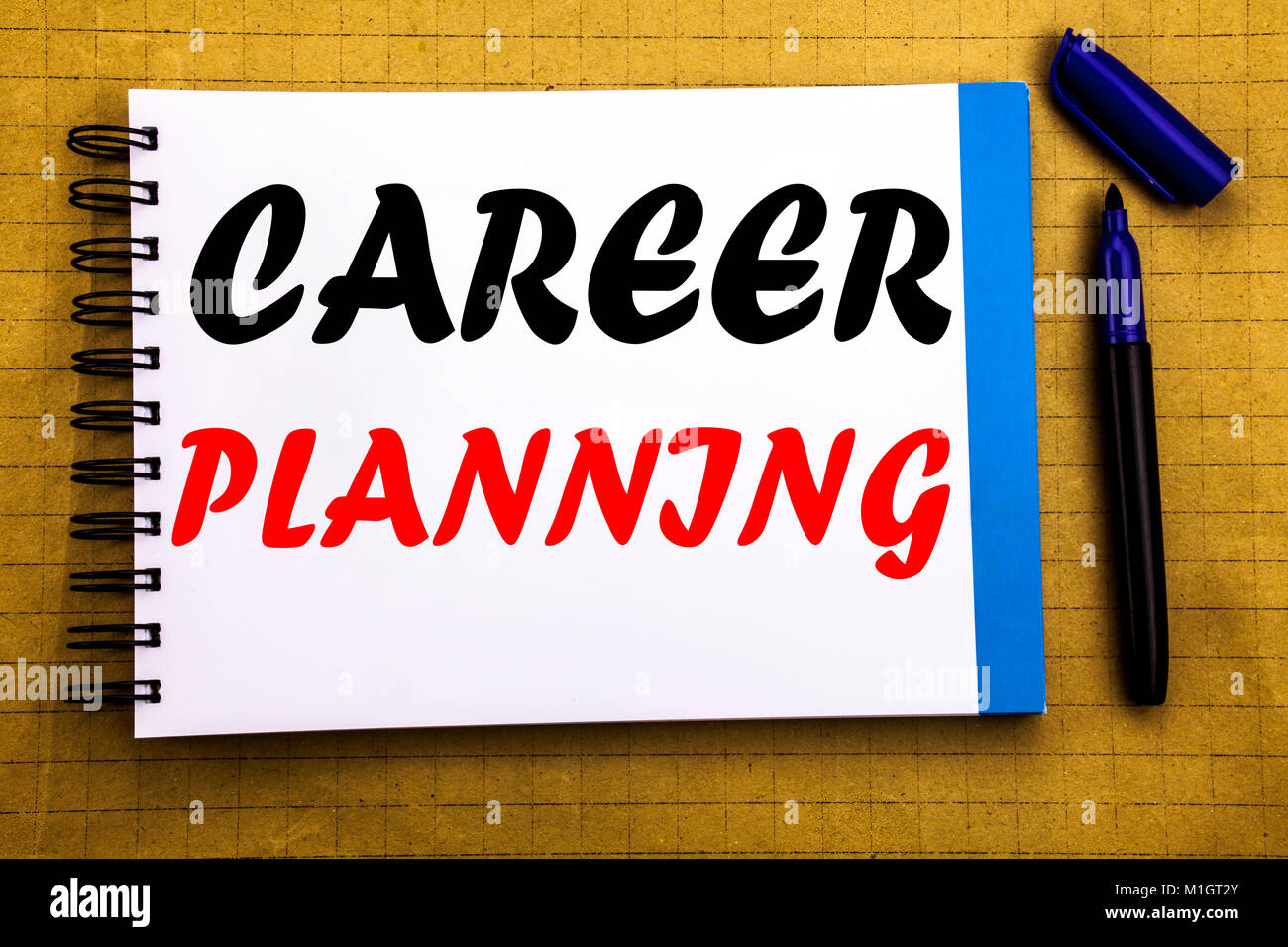 Career Planning. Business concept for Business Growth Goal Setting ...