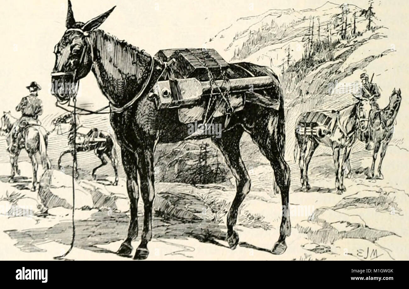 This 1908 work examines Abraham Lincoln's leadership during the Civil ...