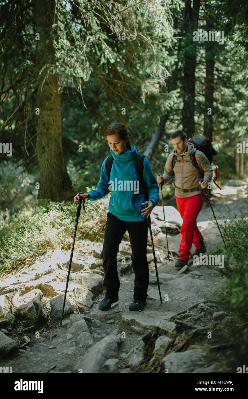 Tourists hikers walking forest trail hi-res stock photography and ...