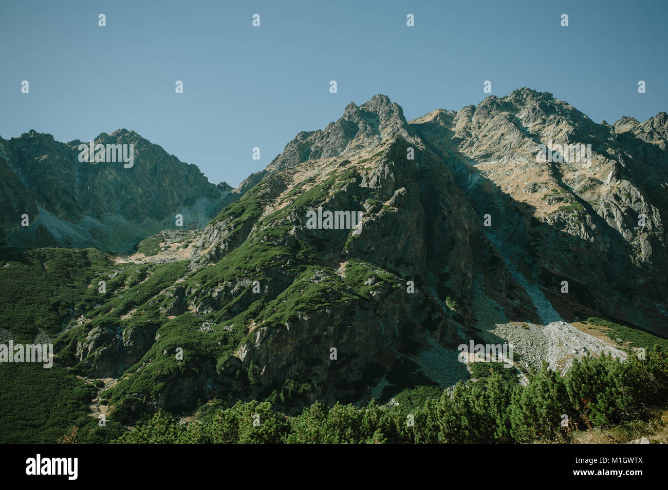Rocky mountain peaks in Tatra National Park Stock Photo - Alamy